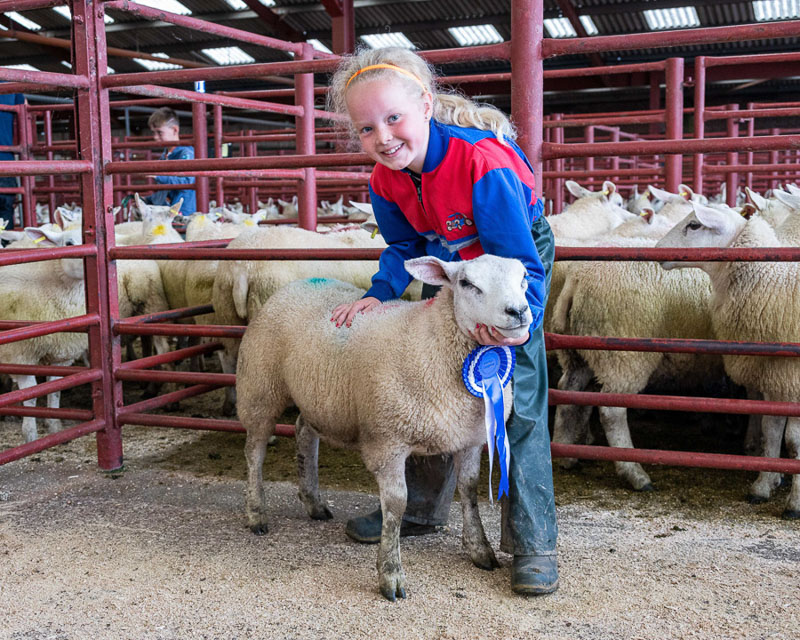 Longtown Mart Primestock Sales Report - 3rd August 2023