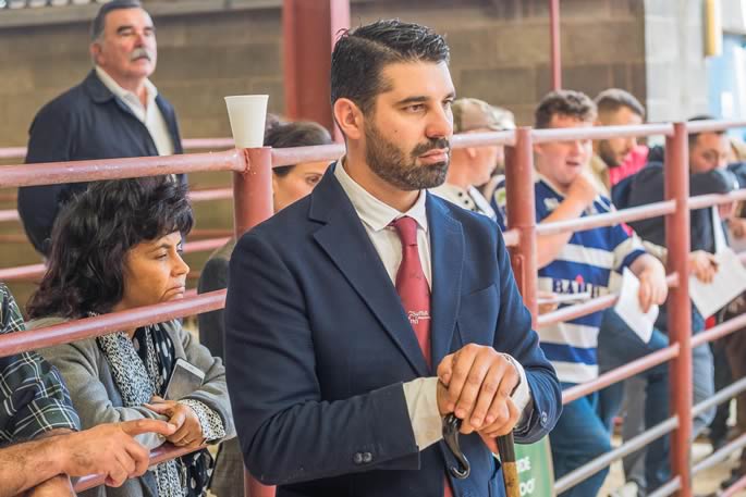 Longtown Show & Sale of Pedigree Suffolk Sheep 2017