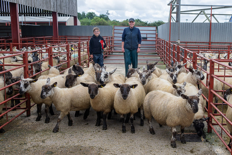 Longtown Mart Store & Breeding Sheep Sale Report - 20th August 2024