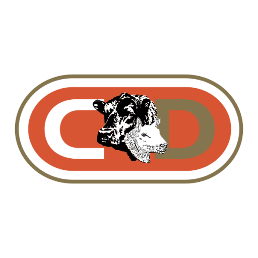 Longtown Mart Sales Reports | C and D Auction Mart